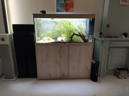 Acheter aquarium 220l complet équipements + poissons