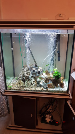 Acheter aquarium 320 litres